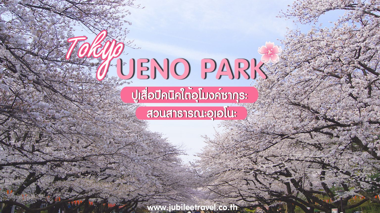 สวนอุเอโนะ : Ueno Park ปูเสื่อปิคนิคใต้อุโมงค์ซากุระ - Jubilee Travel