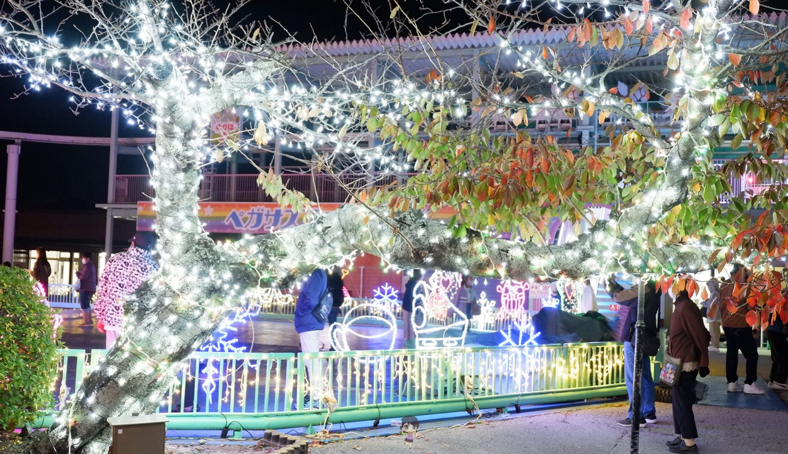 1 ปี มี 1 ครั้ง ยามากุจิ : งานประดับไฟ TOKIWA Fantasai 2022 - Jubilee ...