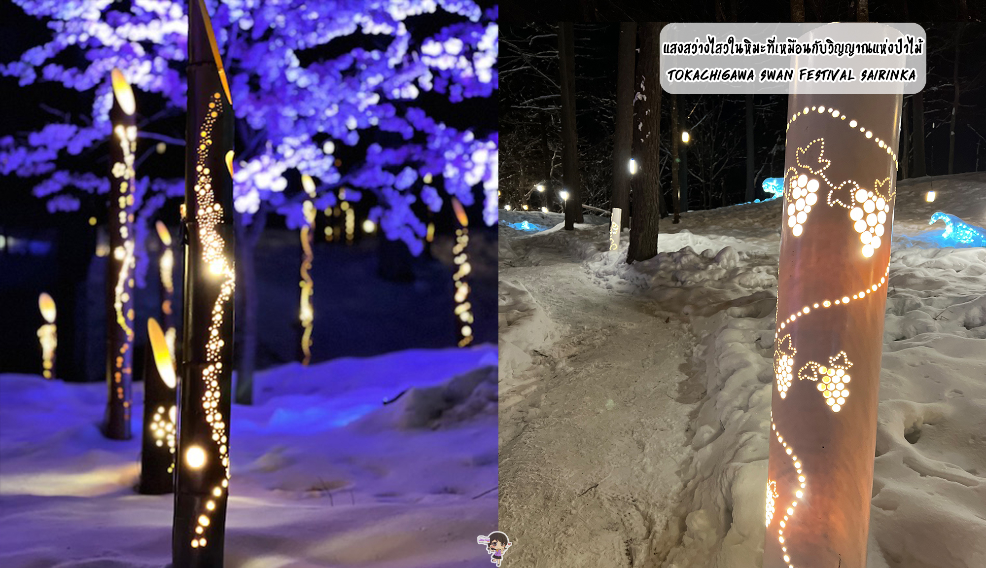 เที่ยวชมเทศกาลแสดงแสงสีท่ามกลางหิมะ ที่ Tokachigawa Swan Festival ...