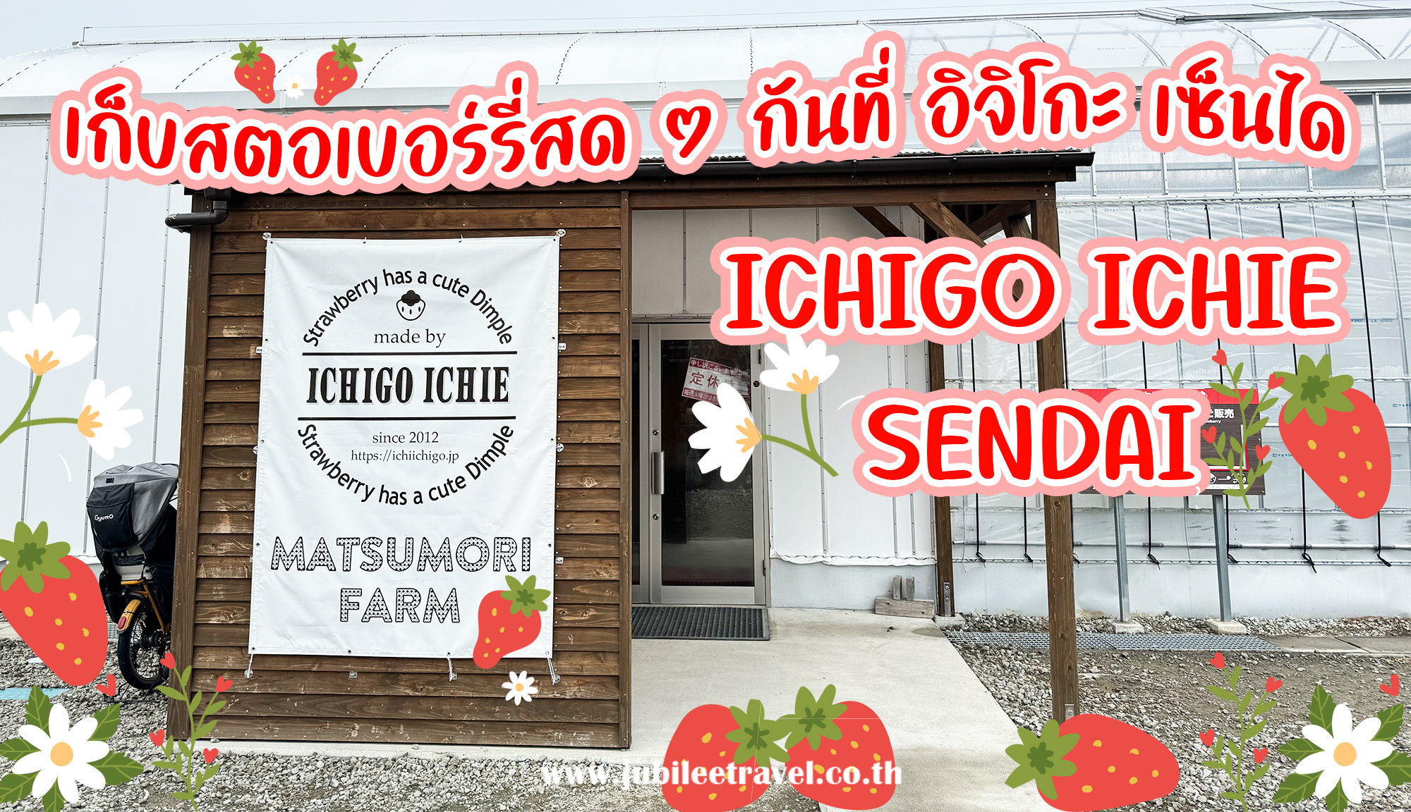 มาเก็บสตอเบอร์รี่สด ๆ กันที่ อิจิโกะ เซ็นได กัน : Ichigo Ichie Sendai ...