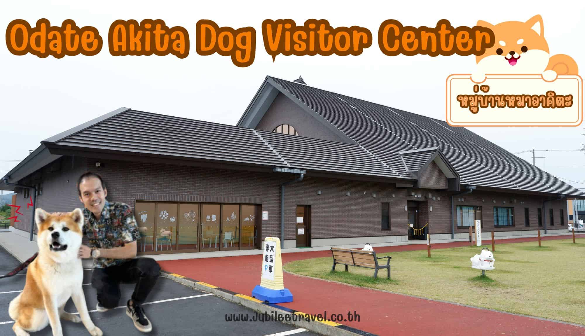 Odate Akita Dog Visitor Center :ชมความน่ารักสุดคิ้วท์ของน้องหมาอาคิตะ ...