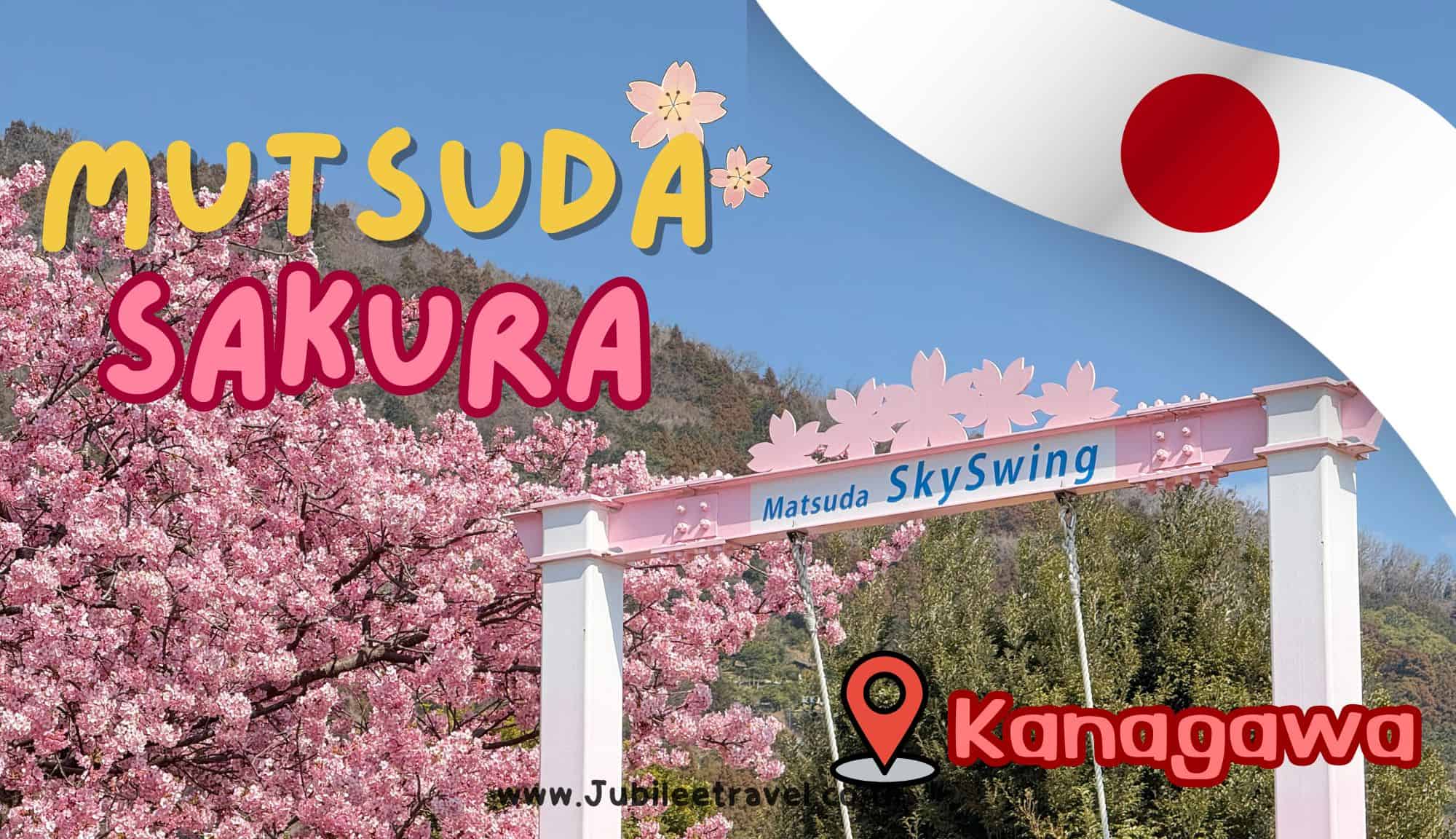 Mutsuda Sakura : ชมซากุระที่เมืองมัตสึดะ - Jubilee Travel