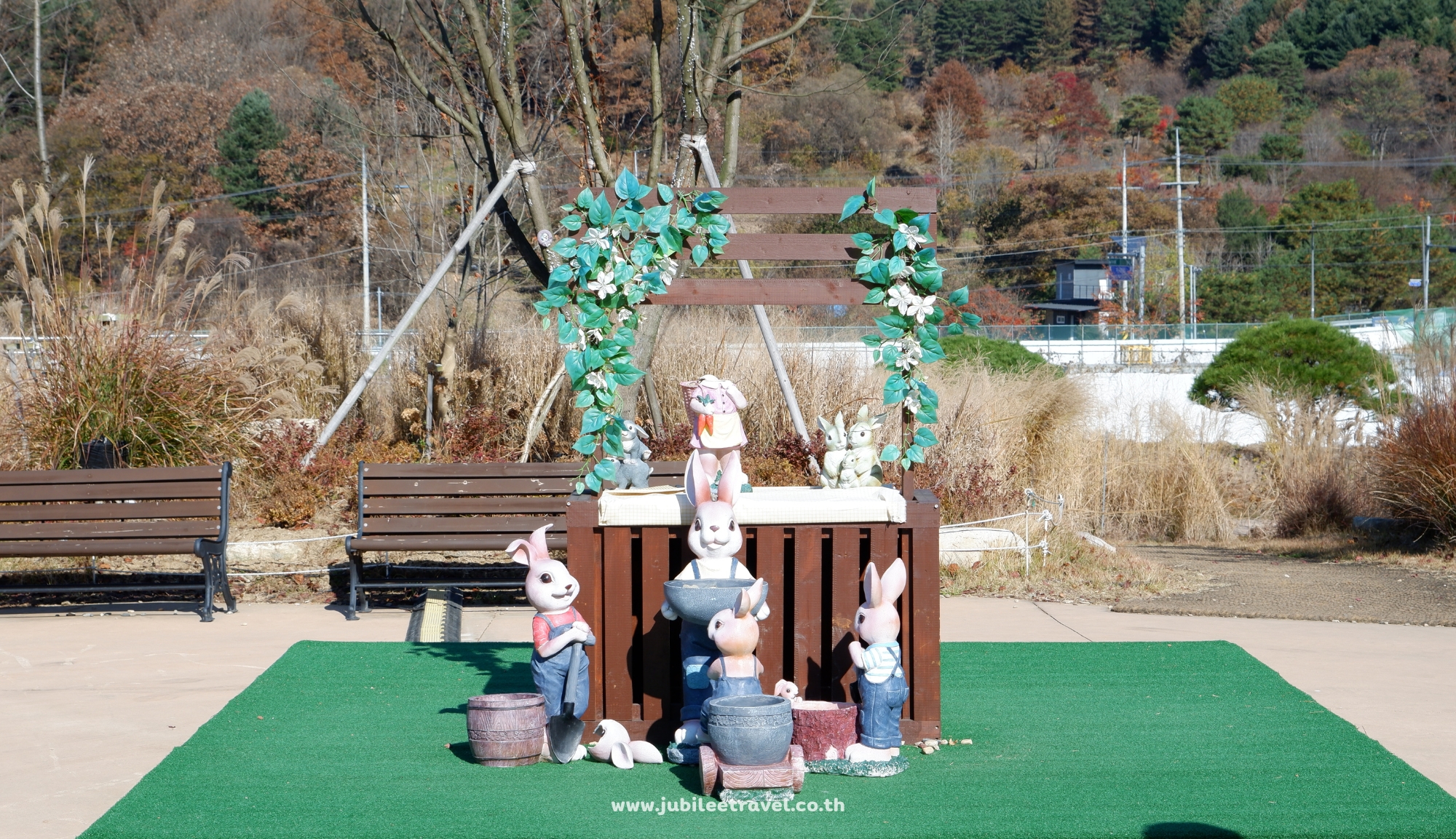 Korea : Begonia Bird Park — ที่เดียวครบ! ดอกไม้สวย นกน่ารัก ถ่ายรูปปัง ...
